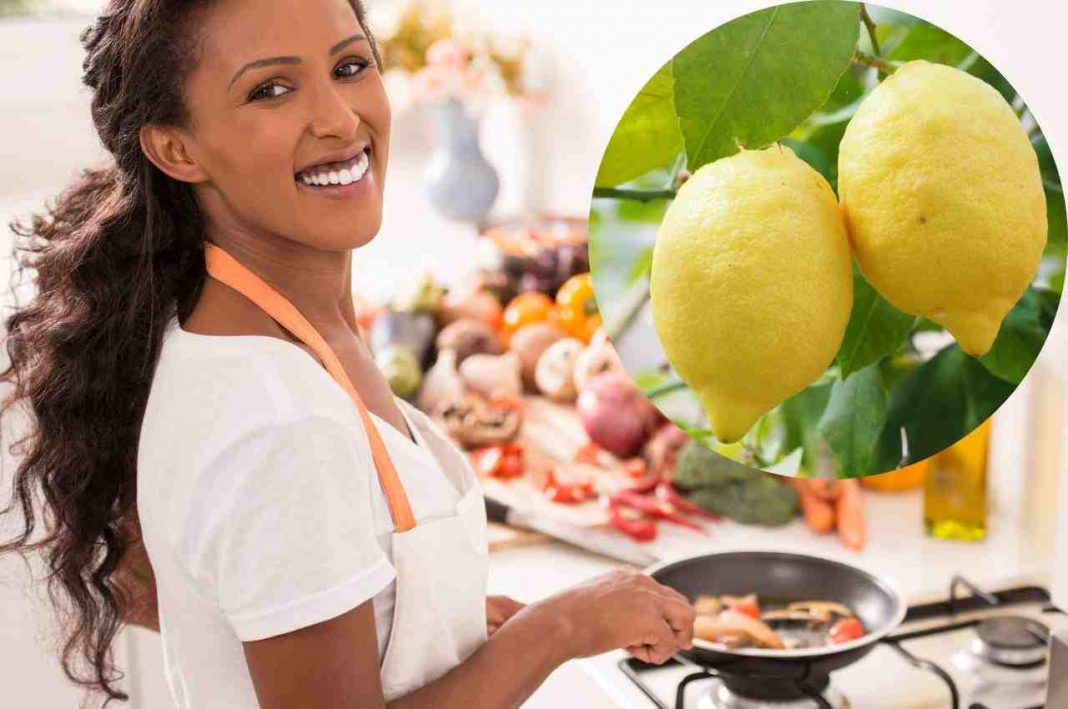 Ottenere bellissimi limoni a casa senza il bisogno di comprarli: tutte ...